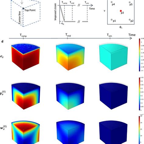 Effective Vascular A And Poroelastic B Biot Coefficients And Download Scientific Diagram