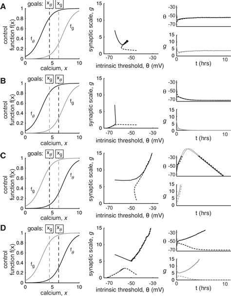 Figure 2 From Synaptic And Intrinsic Homeostasis Cooperate To Optimize