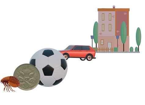 Particle Size Analysis Oz Soils 4