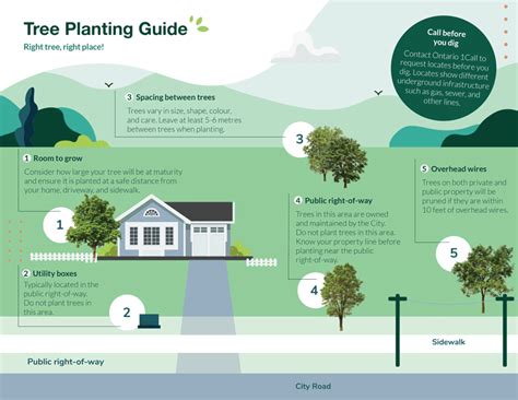 Neighbourhood Tree Planting Program City Of Kingston
