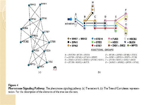 Decomposition Of Overlapping Protein Complexes A Graph Theoretical