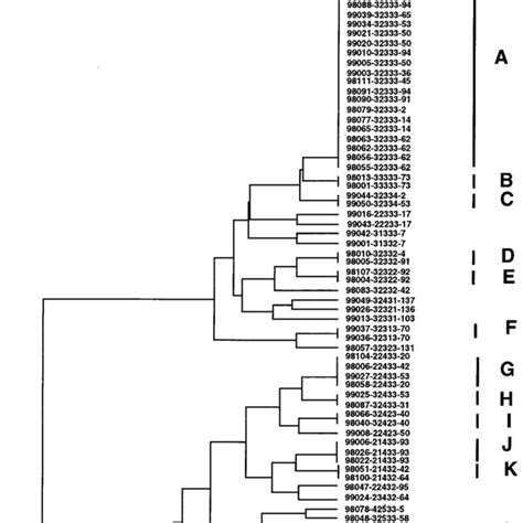 Dendrogram Constructed By The Unweighted Pair Group Method Using