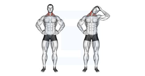 side neck stretch guide benefits and form