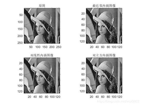数字图像处理1：图像缩放功能的插值算法双三次插值法实现缩放matlab代码 Csdn博客