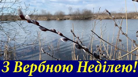 Свято Вербна Неділя привітання Зі святом Вербної Неділі Привітання з Вербною Неділею З