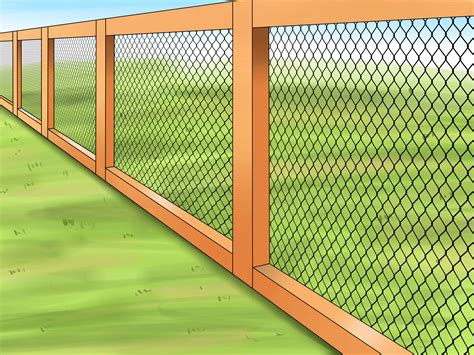 3 Ways To Tell If A Cat Has Rabies WikiHow