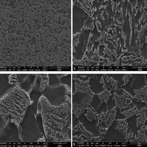 Ferrite Pearlite Microstructure Under Optical Microscope Download