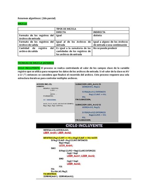 Resumen Algoritmos Pdf Archivo De Computadora Informática