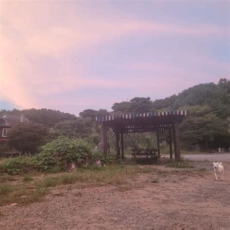 Leadersion 사진에 못담을 정도로 아름다운 가을하늘이네요 날씨가 쌀쌀해지면서 멋진곳에서