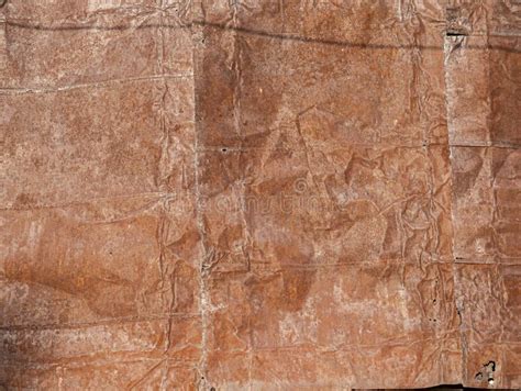 Old Rusty Tin Sheet Wall Texture Stock Image Image Of Blossom Nature