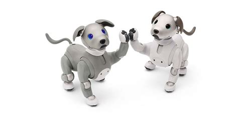 Alone No More 4 Best Companion Robots To Consider In 2022 Jumpstart