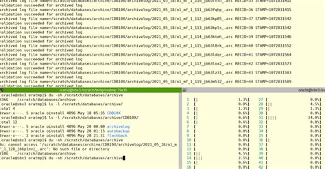 How To Free Fra Space In Oracle 19c Dev