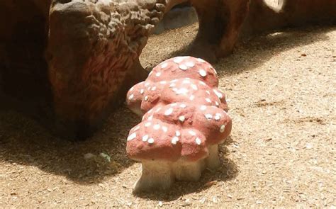 Mushroom Cluster Themed Playground Climber Commercial Playground