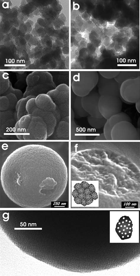 Micrographs Of Porous Silicas Synthesized With Variable Ethanol