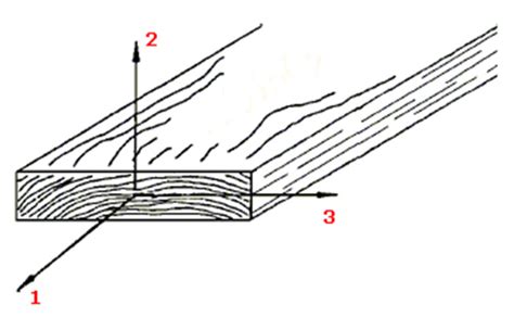 an overview of selected material properties in finite element modeling of the human femur