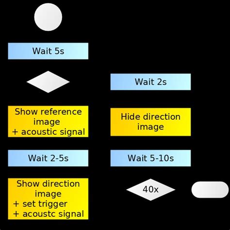 The Flowchart For The Me And Ie Experiments Download Scientific Diagram