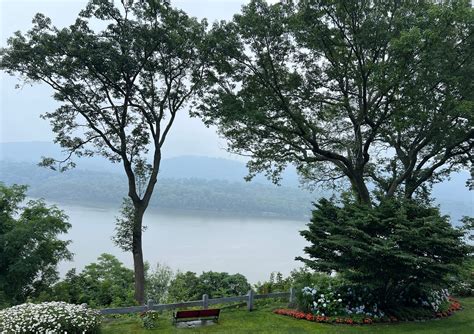 A Tree In The Summer