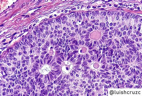Pathtweetaward June 13 19 Twitter Pathtweetaward June 13 19 Twitter
