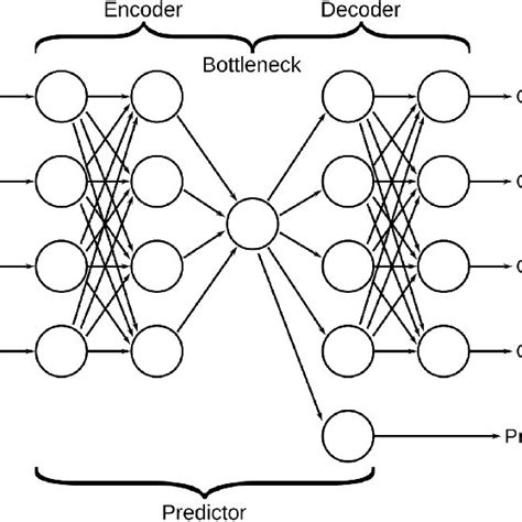 structure of the extended autoencoder as for a regular autoencoder