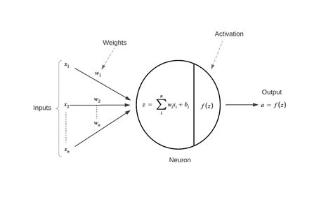Commonly Used Activation Function In Neural Networks Catalog Library