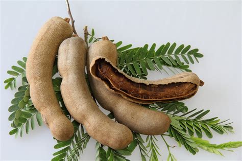 Tamarind Fructe Brown Fotografie Gratuită Pe Pixabay