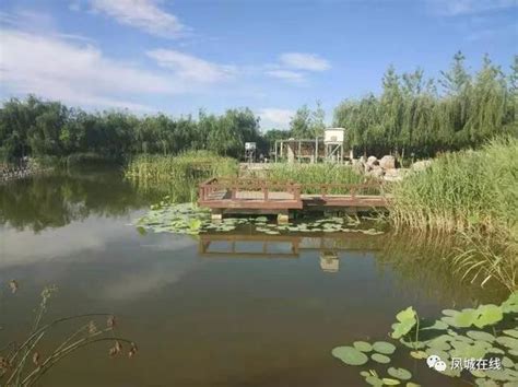 盛夏的高邑中兴公园与秀湖 搜狐大视野 搜狐新闻