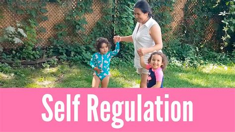 Self Regulation Youtube