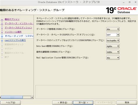 実践 Lifekeeper For Linux を使ったoracle 19c Database Haクラスター化の手順紹介 ビジネス継続とitについて考える
