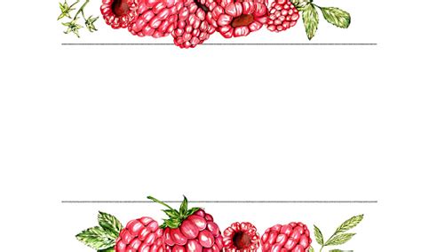 수채화 요소 집합입니다 잎과 육즙이 많은 나무 딸기입니다 엽서와 디자인을 위해 0명에 대한 스톡 벡터 아트 및 기타 이미지 0명 건강한 생활방식 계절 Istock