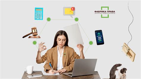 Цена жизни без долгов сколько стоит банкротство Юридическая компания Фабрика Права Дзен