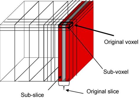 over sampling the volume to obtain isotropic sub voxels download
