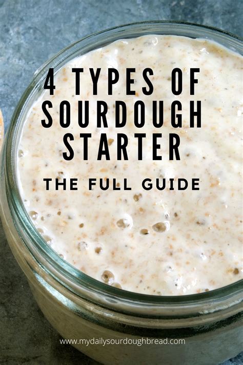 Best 13 How To Start A Sourdough Starter From Scratch Artofit