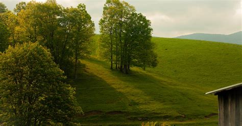 거친 경치 경치가 좋은 고요한 구름 그늘 나무 나뭇잎 녹색 언덕들 농업 농촌의 러스틱 롤링 힐스 목가적인 무성한 단풍 봄 삼림지대 시골 시골