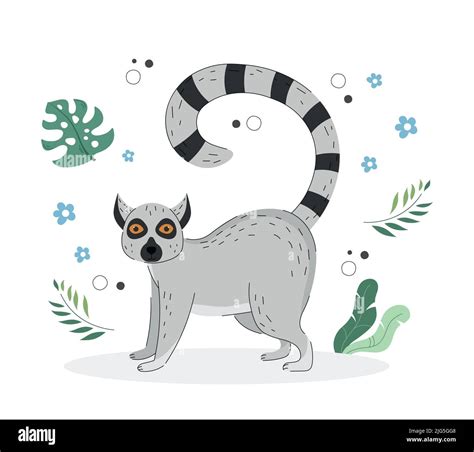 Exotic Cute Lemur Stock Vector Image And Art Alamy
