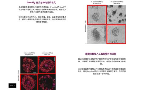 Proofig Ai图片抄袭检测器使用评测分享 Ai神器集