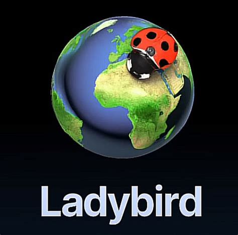Meet Ladybird Browser A Promising Cross Platform Web Browser Ghacks Tech News
