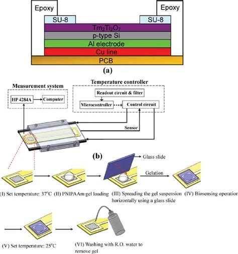 A The Structure Of The Proposed Eis Sensor And B The Overall Download Scientific Diagram