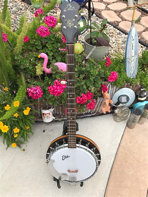 1980s Eko 5 String Banjo W Case Mint Reverb
