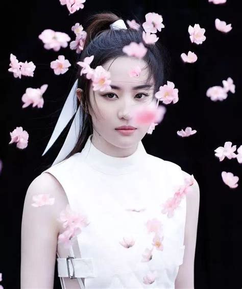 刘亦菲拿下了花木兰东西方妆容大PK你更爱哪种风格