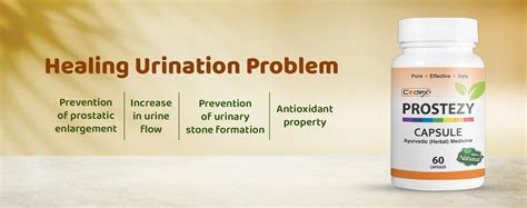 Codex Drugs Pvt Ltd Quality Herbal Products And Nutraceuticals Contr