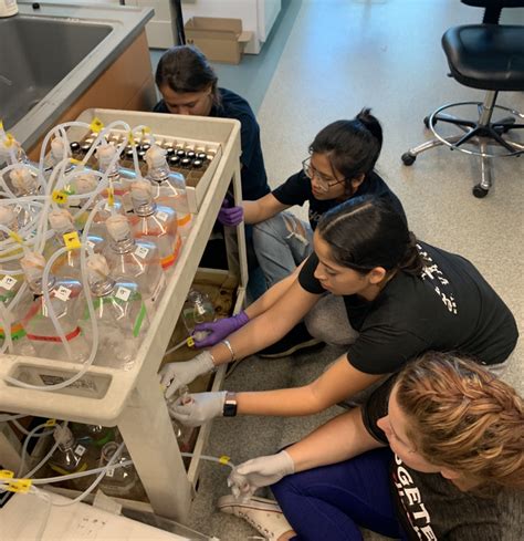 Sample Processing In Lab IMAGE EurekAlert Science News Releases