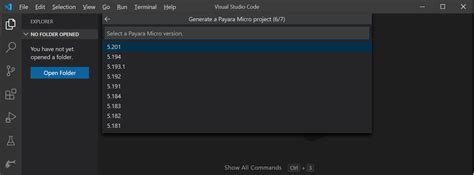 Payara Micro Tools In Vs Code Payara Enterprise Documentation