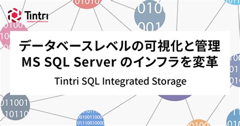 データベースレベルの可視化と管理 Ms Sql Serverのインフラを変革 Tintri By Ddn