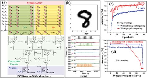 Training And Testing On The Mnist Handwritten Digit Recognition By