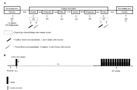 Figure 3 From The Effects Of Acute And Chronic Sprint Interval Training On Cytokine Responses