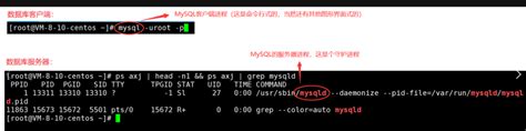 Mysql数据库基础知识安装（非常详细）零基础入门到精通，收藏这一篇就够了数据库基础学习 Csdn博客