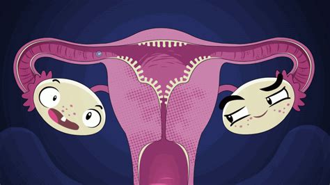 Por Tres Razones Sex Symbols Una Serie Sobre Educación Sexual 02