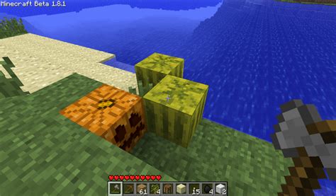 Minecraft Beta 1 Khám Phá Những Tính Năng Đặc Sắc Và Hồi Ức Về Phiên Bản Cổ Điển