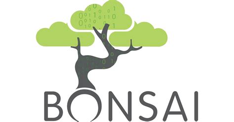 Gabb Taps Bonsai Data Solutions For First Party Measurement And Growth