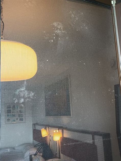 Wildwood Snowmass Updated 2024 Prices And Hotel Reviews Snowmass